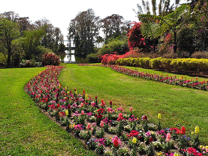 Meticulously maintained gardens echo Cypress Gardens' storied past, where flowers create natural art that changes with the seasons.