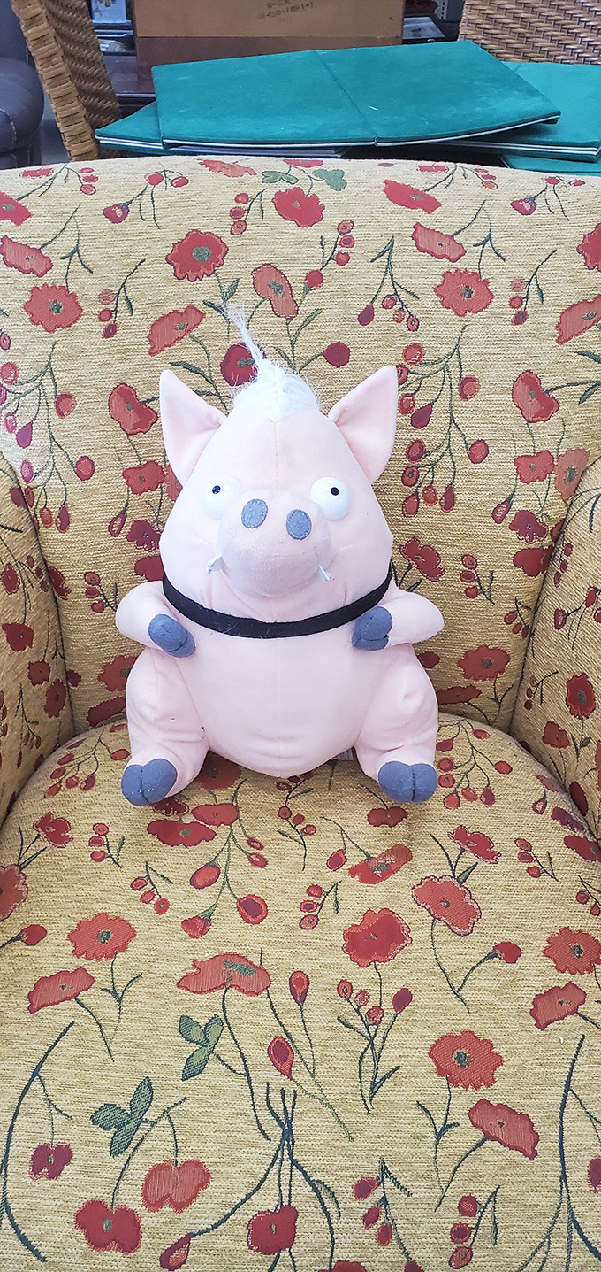 A floral chair cradles a pink stuffed pig – the kind of unexpected pairing that makes thrift shopping an adventure in serendipity.