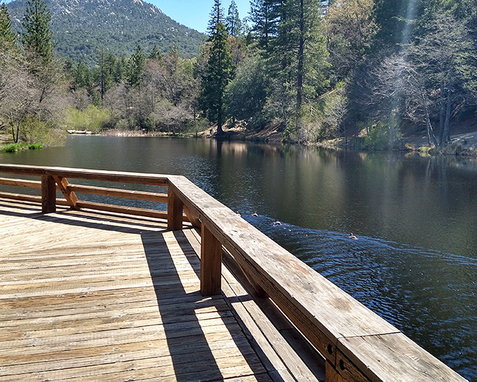A wooden dock extends over mirror-like waters, offering the perfect spot for contemplating life's big questions or just watching ducks.
