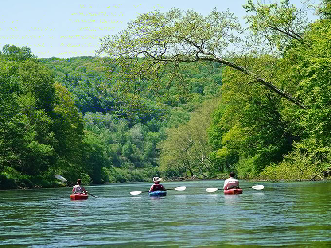 Kayaking on nearby waterways offers peaceful recreation surrounded by lush Pennsylvania forests—no expensive equipment rentals or crowded tourist boats required.