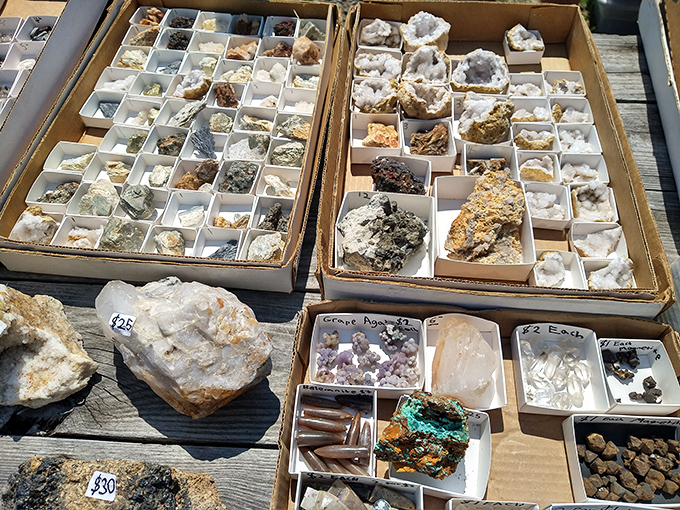 Nature's art gallery: meticulously organized minerals and crystals that transform ordinary rocks into conversation pieces worth displaying in your living room.