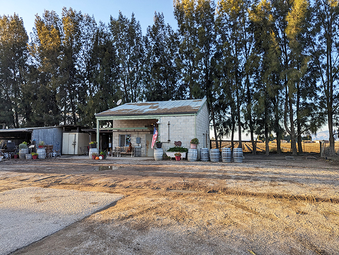 This rustic farm stand, framed by windbreak trees, offers the ultimate farm-to-table experience without the pretentious hashtags.