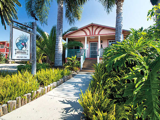 Tucked among tropical foliage, this colorful sanctuary offers a glimpse into Summerland's more whimsical side, where nature and art harmoniously coexist.