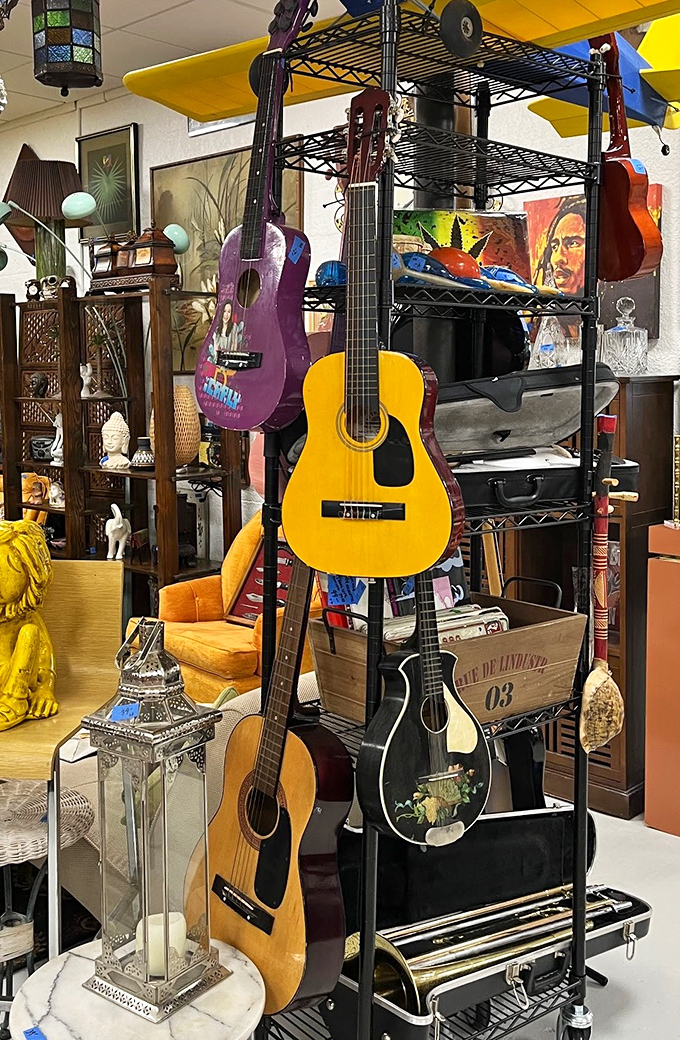 A guitar collection that tells stories of campfire sing-alongs, garage bands that never made it, and living room serenades waiting to happen again.