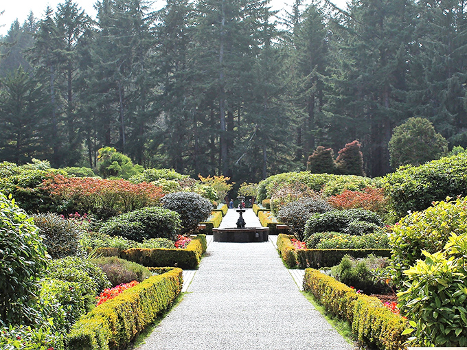 The meticulously maintained pathways at Shore Acres Gardens invite contemplative strolls through botanical splendor. Nature, improved by human hands but not overdone.