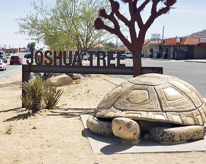 The town's welcome sign, complete with tortoise sculpture, sets the perfect tone: life moves at a different pace here.