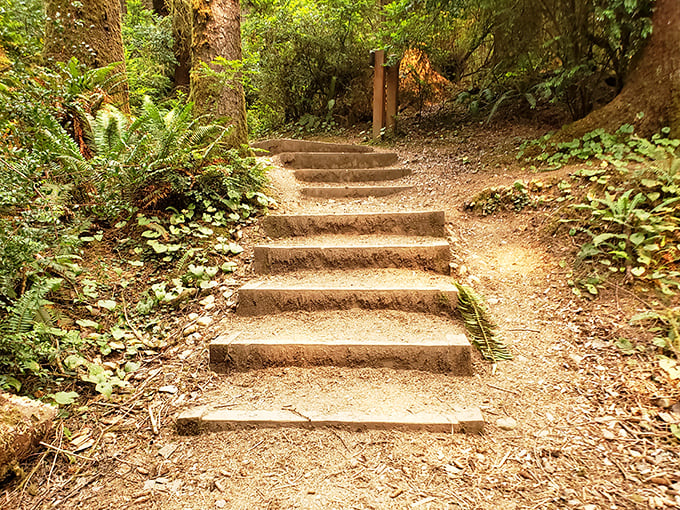 These steps aren't just stairs; they're time machines taking you back to when ferns ruled the Earth and dinosaurs were the tourists.