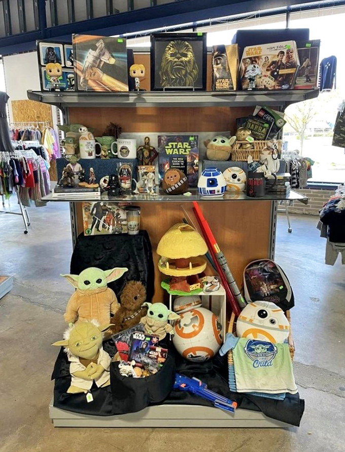 The Force is strong with this collection. Baby Yoda and friends wait patiently for someone to rescue them from retail carbonite and bring them to a new galaxy.