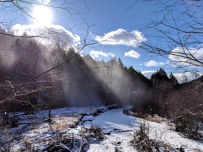 Winter's silent magic blankets the landscape. The sun's rays cutting through bare branches create the kind of light show no technology could ever replicate.