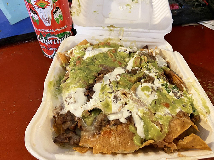 Nachos that refuse to be ignored. Layers of beans, meat, cheese, and toppings creating a topographical map of deliciousness.