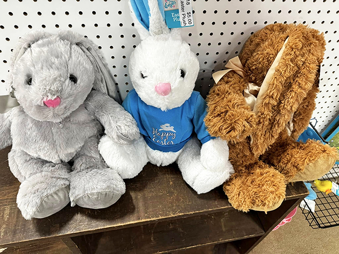 The stuffed animal adoption center where no bunny gets left behind. Easter memories waiting to hop into your home.