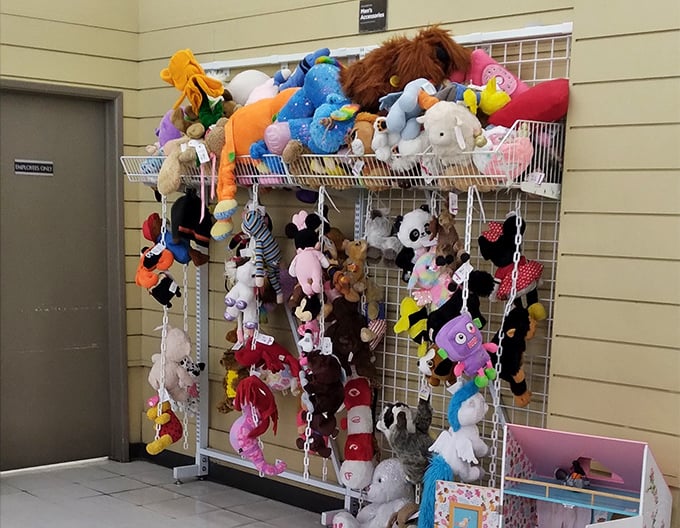 Stuffed animal adoption center: where gently-loved teddy bears and forgotten Disney characters hope for a second chance at cuddles.