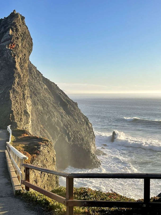 Morning light transforms the rugged coastline into nature's gold mine, where the real treasure is the momentary absence of fog.