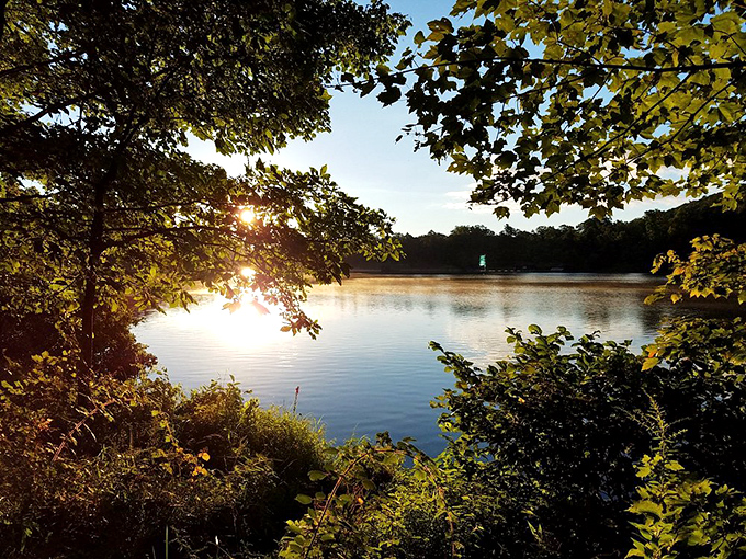 Sunset paints the lake in golden hues, turning an ordinary evening into magic. Nature's version of mood lighting never disappoints.