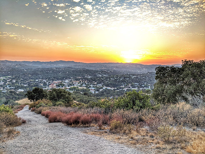 Sunset from the hills above Atascadero paints the sky in retirement-worthy hues, proving that million-dollar views don't require million-dollar homes.