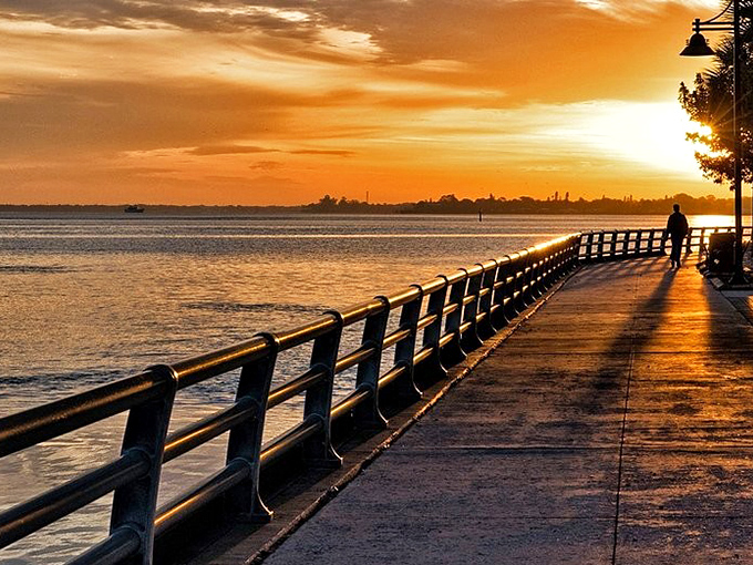 Bradenton sunsets perform a daily magic show where the ordinary Manatee River transforms into a canvas of impossible colors no filter could improve.