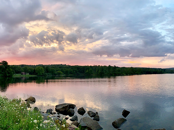 Nature's light show doesn't require tickets. Sunset transforms Nockamixon's waters into a canvas of pinks and purples that outshines any man-made spectacle.
