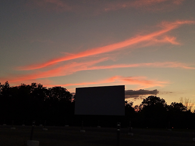 Golden hour transforms an ordinary field into something magical - nature's own special effects show.