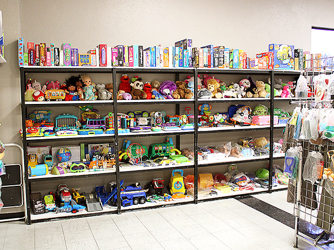 Childhood nostalgia by the shelf-full. One person's decluttered playroom becomes another family's Christmas morning miracle for pennies on the dollar.