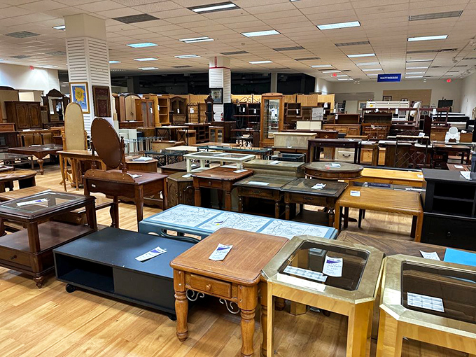 Coffee table convention – where glass-topped models mingle with solid wood varieties, all waiting for their chance to hold your remote control.