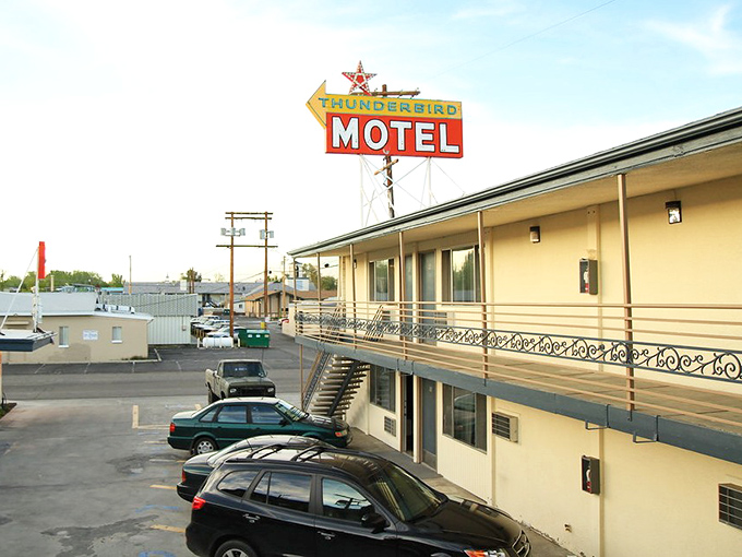 The Thunderbird Motel's vintage sign stands as a neon beacon for road-weary travelers, promising a slice of classic Americana and a comfortable night's rest.