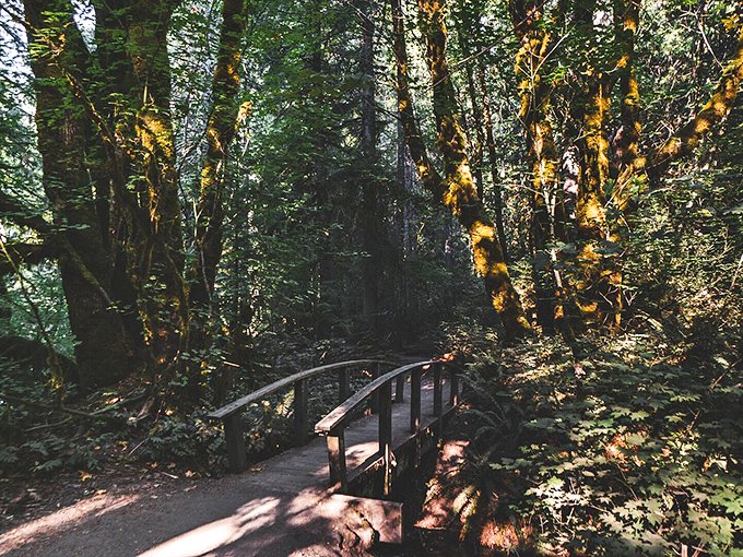 This unassuming bridge is actually a portal&mdash;cross it and enter the emerald realm where Toketee's magic awaits.
