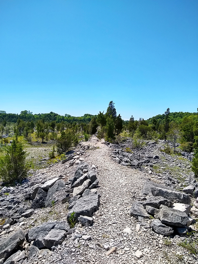 Well-marked trails guide you through landscapes that prove Ohio's natural beauty deserves more recognition.