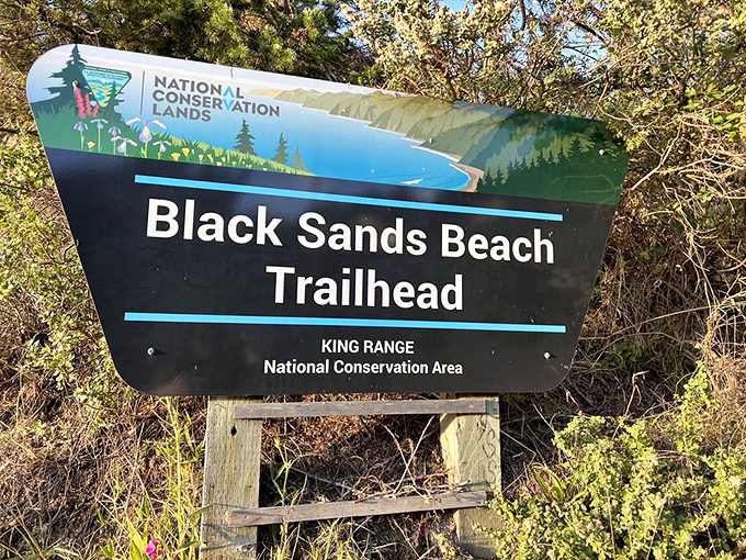 Your official invitation to adventure&mdash;this sign marks the gateway to California's most dramatically different beach experience.