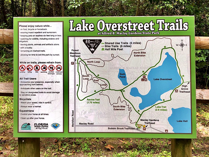 A trail map that promises adventures without requiring satellite navigation. Getting pleasantly lost has never been so well-organized.