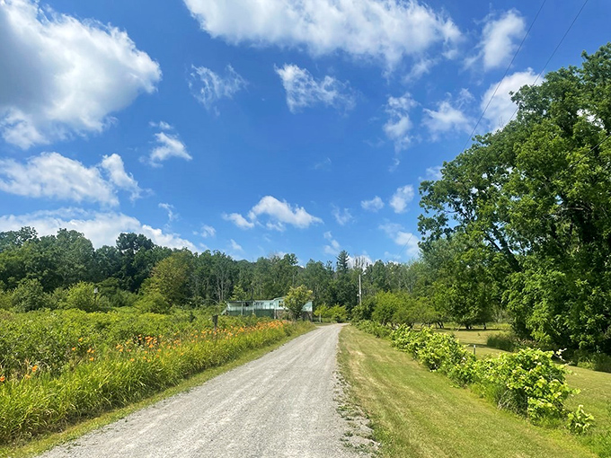 Country roads that make you want to roll down the windows and belt out John Denver, even if you're more of a shower singer.