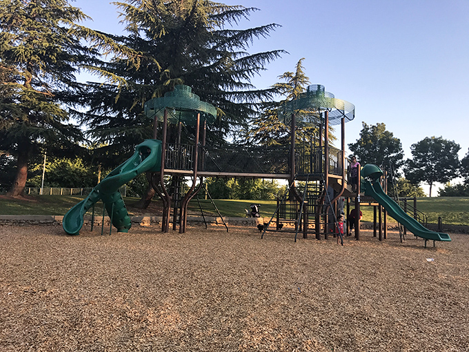At Trainor Park, kids can play without parents needing a second mortgage&mdash;childhood joy that doesn't require a tech salary.