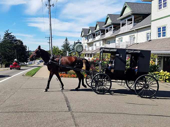 Where horse-drawn meets horsepower. Amish buggies sharing modern roads perfectly capture the beautiful cultural blend that makes this region so special.