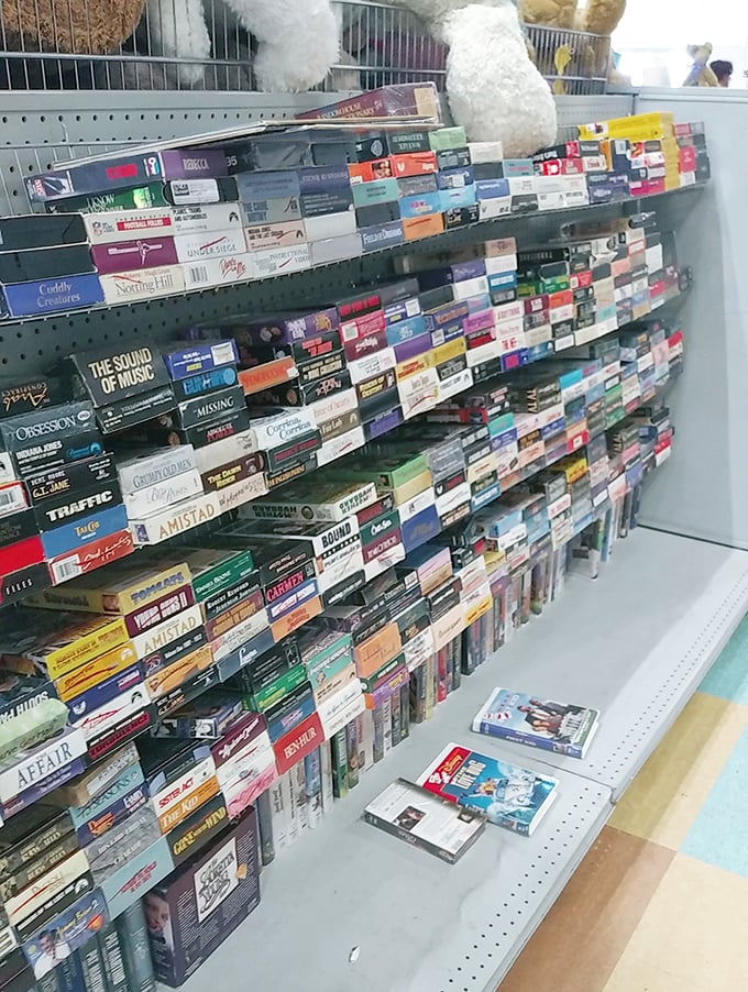 VHS wonderland! Each plastic case a time capsule from when "be kind, rewind" was more than just nostalgic wordplay.