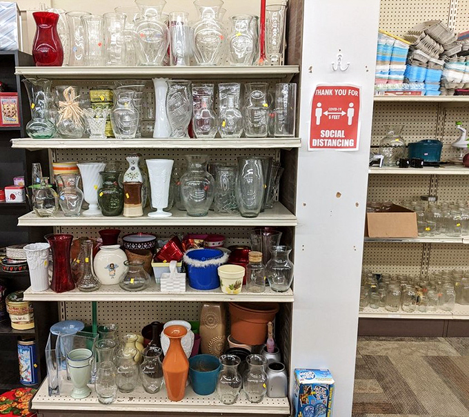 Vase collection that would make your grandmother swoon. From mid-century modern to "what era was THAT from?", there's something for every flower arrangement and design sensibility.