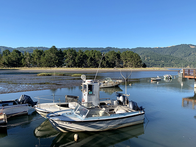 Morning mist hovers over Bolinas Lagoon while fishing boats wait patiently for the day's adventure to begin.