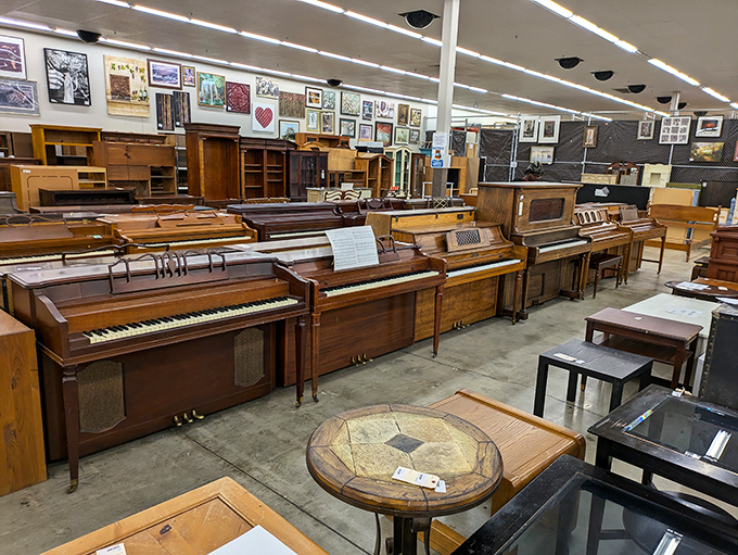 Piano row – where musical dreams come at bargain prices and everyone leaves humming "Heart and Soul" whether they intended to or not.