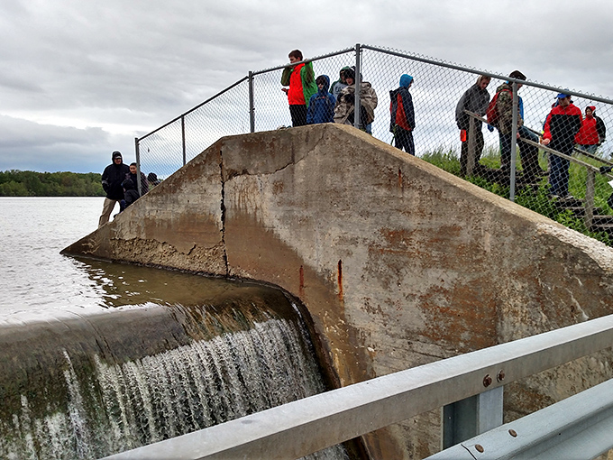 The dam creates nature's infinity pool effect, complete with a great blue heron who clearly found the VIP section.