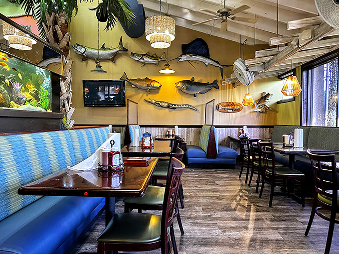 The dining room where fish go to retire &ndash; mounted trophies watching over diners like aquatic guardian angels of good taste.