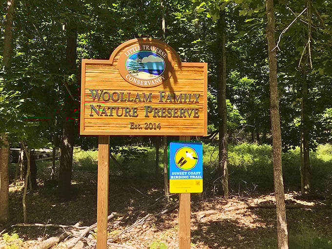 Conservation efforts like the Woollam Family Nature Preserve ensure this natural wonder remains for generations of Sunday drivers.