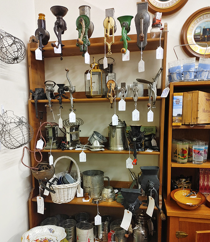 Kitchen tools with patina and purpose line these shelves, each dented grinder and worn ladle holding decades of family meals in its metal memory.