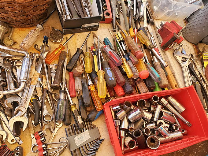 Tools with stories to tell. These weathered handles and worn metal have built homes, fixed cars, and survived generations of weekend projects.