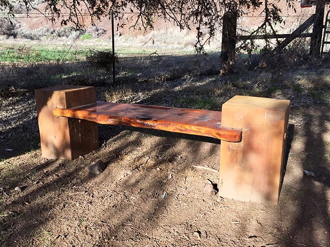 This isn't just a bench &ndash; it's the world's most exclusive theater seat for watching the desert's daily performance.