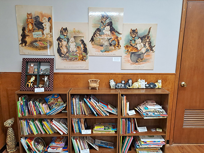The children's book section ensures the next generation of cat enthusiasts will be properly educated in the ways of feline appreciation.