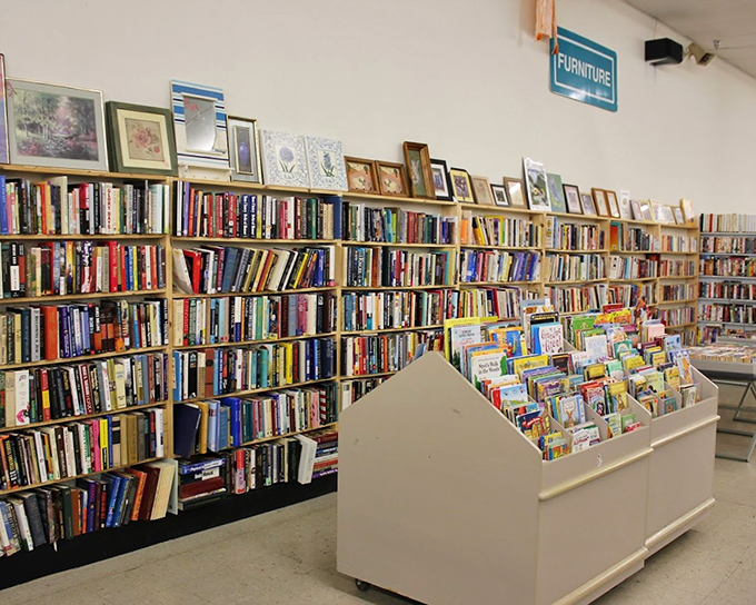 A bibliophile's playground where books stack floor to ceiling, creating walls of worlds waiting to be explored. Every genre imaginable, from cookbooks to crime thrillers.