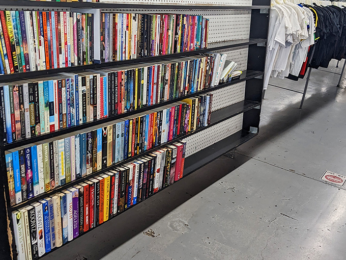 Literary treasures stacked spine-out, waiting for new readers. Each book a doorway to another world at a fraction of the cover price.