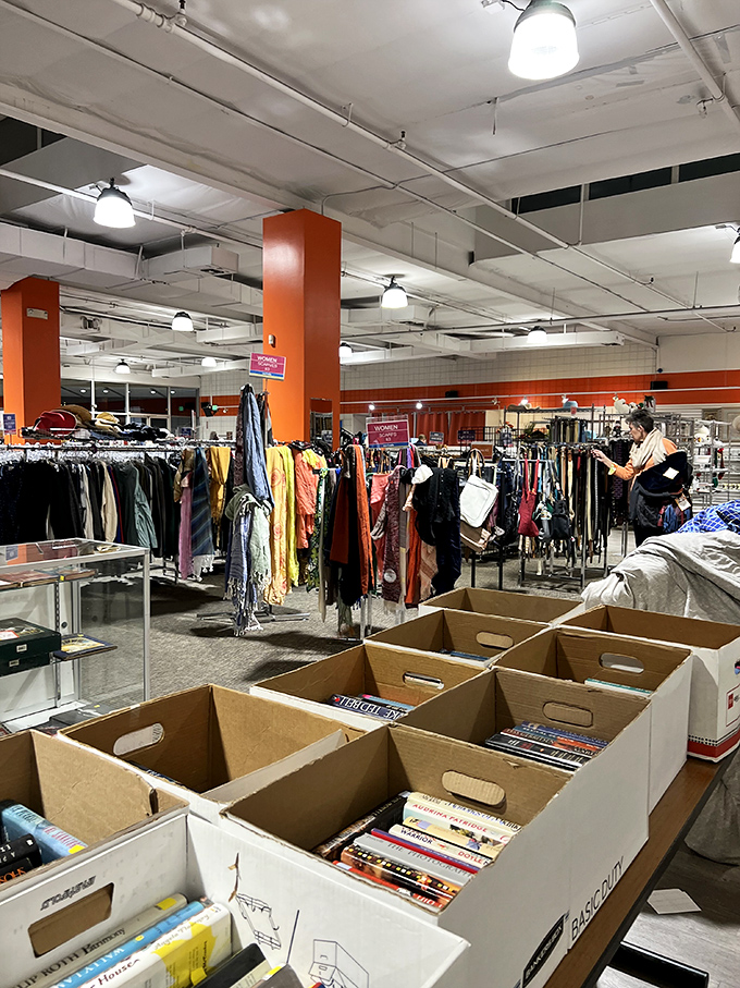 Literary treasures nestled in cardboard cradles—because the best stories sometimes come from someone else's bookshelf.