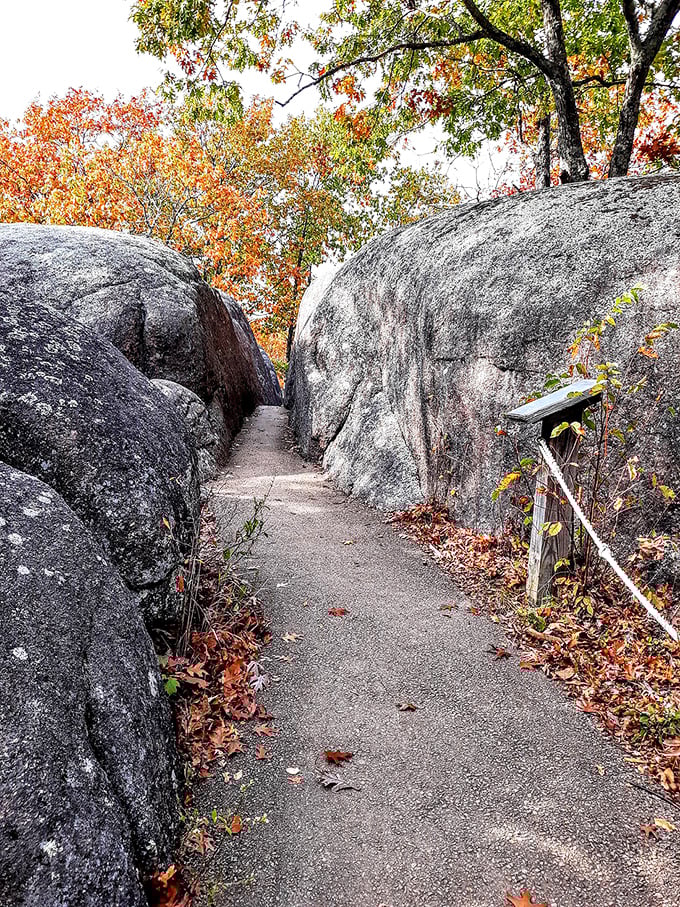 Fall foliage frames the narrow passage between towering granite walls, creating a natural corridor that feels like walking through geological history.