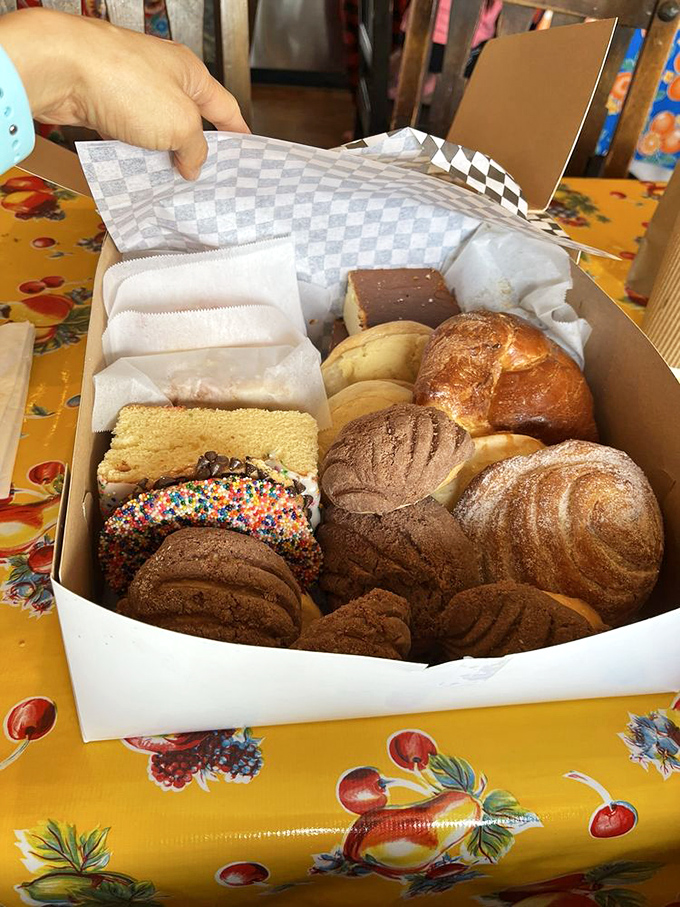 The pastry box&mdash;where self-control goes to die and "I'll just have one" becomes the day's most hilarious joke.