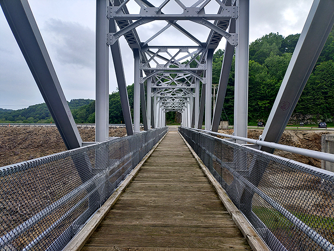 Engineering meets wilderness at this striking footbridge, where the geometric precision of human design frames the glorious chaos of nature beyond.