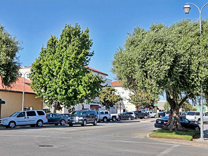 Tree-lined streets and Mission-style architecture create King City's distinctive character, a blend of California's Spanish heritage and agricultural roots.
